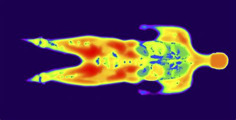 xfdtd® biological thermal sensor remcom