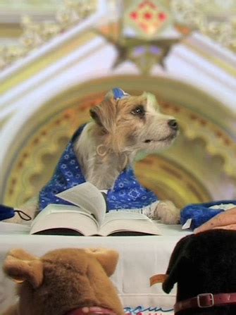 Blessing Of Animals Wikipedia