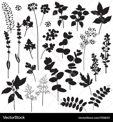 Plant Silhouette Vector Shapes