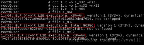 linux 64平台上编译32位程序 gcc编译选项 m64 m32 mx32 gcc m64 csdn博客