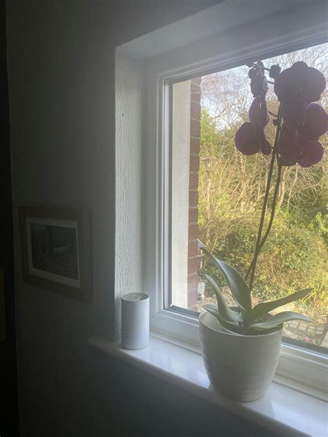 Waterless Diffuser Waterless Oil Diffuser 50 Off Oils