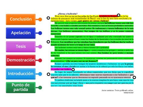 Estructura Del Texto Argumentativo Partes Y Ejemplos Significados My
