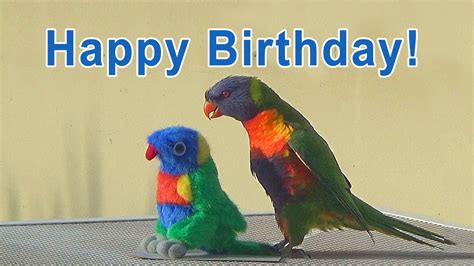 Funny Bird Birthday Quotes