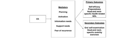 Heuristic Framework For Empowered Survivor Es Qol Quality Of Life