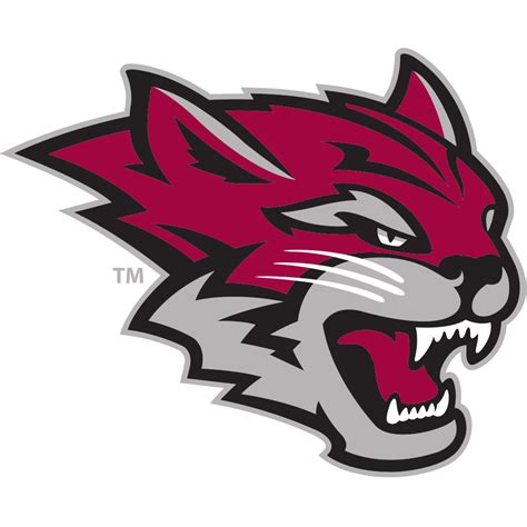California State University Chico Colors Ncaa Colors U S Team Colors