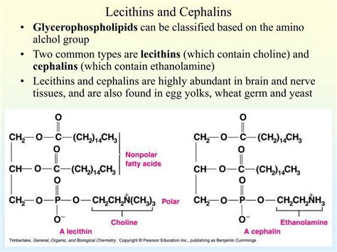 Ppt Waxes Powerpoint Presentation Free Download Id2991672