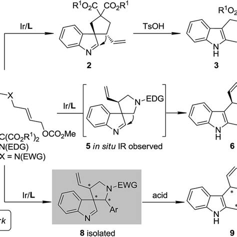 The Reaction Profiles For The Tsoh Catalyzed Migration Processes Of The
