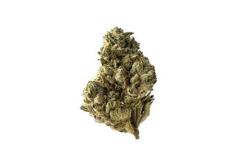 Buy Strawberry Glue Online Canada The Grow House