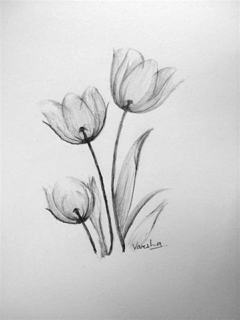 Easy Flower Shading Tutorial Tulip Sketch Simple Tulip Flower