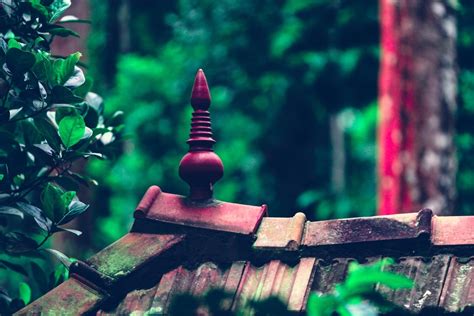 Kerala Nostalgic Wallpapers