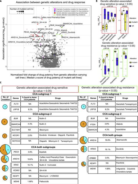 Association Of Commonly Observed Mutations And Drug Response In Cca