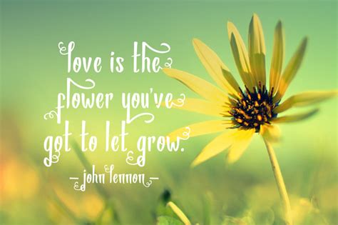 Download Magnolia Font Fontsme Com