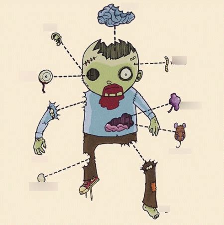 Zombie Anatomy Diagram Quizlet