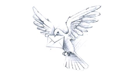 Carrier Pigeon Art Drawing Skill