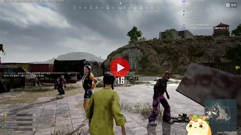 김뿡 암컷이 나무 위에 올라가 신음을 지르면 수컷이 싸워 이긴 수컷이 나무를 올라가 하루에 40번 넘게 한다 치지직 에펨코리아