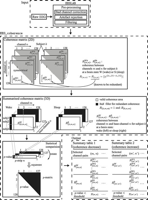 Flowchart For Processing EEG Of Two Brain States To Determine Download Scientific Diagram