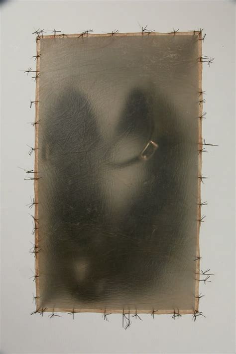 Doris Salcedo Doris Salcedo Museum Of Contemporary Art Art Inspiration