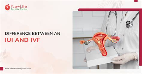Best IVF Centre In India Difference Between An IUI And IVF