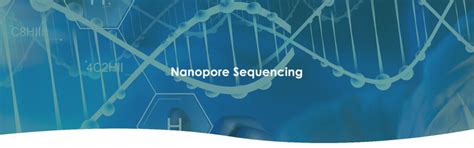 Nanopore Sequencing To Facilitate Microbial Research Labinsights