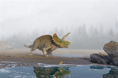 Pentaceratops Vs Triceratops