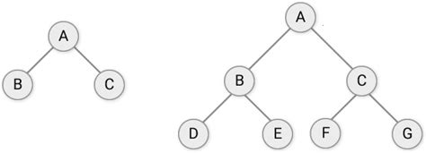 Full Binary Tree