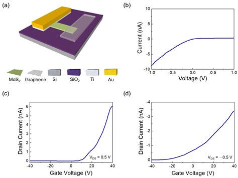 Mos2 Field Effect Transistor For Next Generation Label Free Biosensors At Ava Ewers Blog