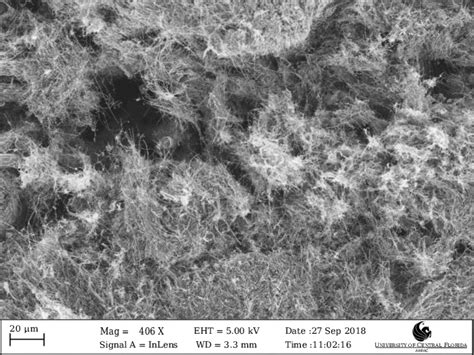 Microstructure Of Cnp Showing A Porous Network Of Nanofibers Download Scientific Diagram
