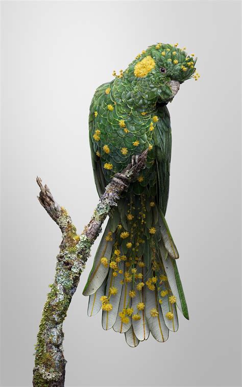 Josh Dykgraaf — Sol Gallery