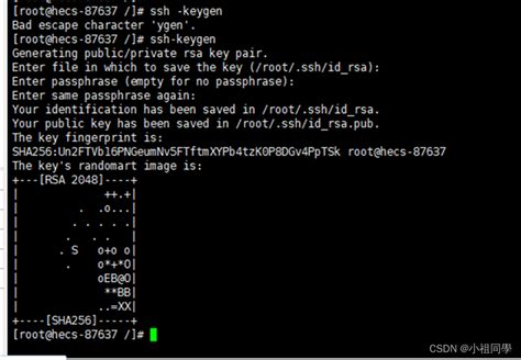 【ssh登录原理解析及免密登录实操】简述什么是ssh并写出免密登录的过程 Csdn博客