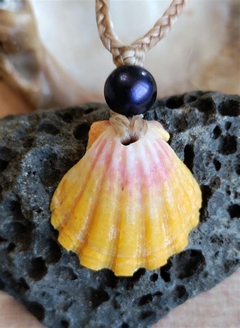 Hawaiian Sunrise Shell Jewelry Necklace Pecten Langfordi Casual Sinew
