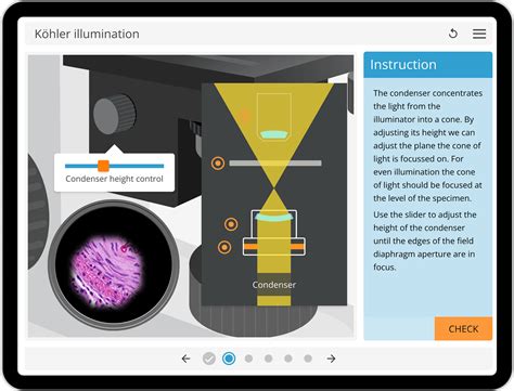 Virtual Lab Simulation Biology And Smart Worksheets Learnsci