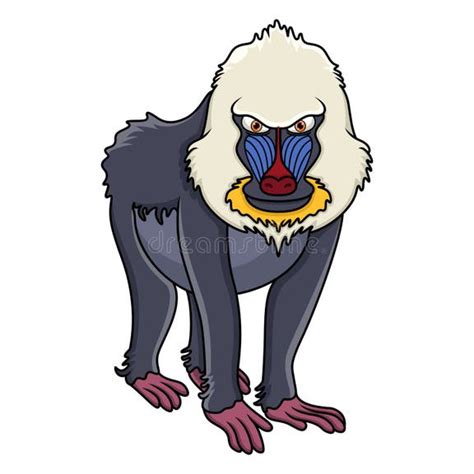 Cartoon Mandrill Baboon Isolated On White Background Stock Vector
