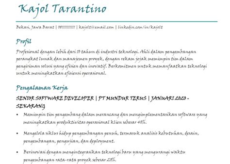 Contoh CV Lamaran Kerja Yang Buruk Tak Layak Dikirim