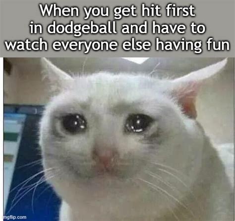 Latest Memes New Memes Memedroid