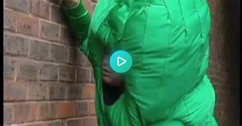 Pickle Album On Imgur