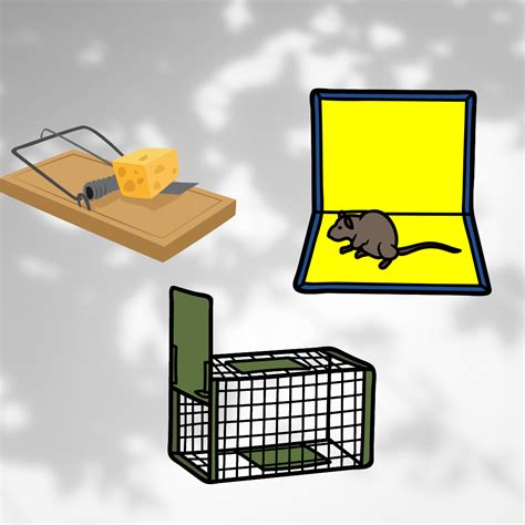 What Are The Best Rat Traps Available In The Uk Mouse Traps