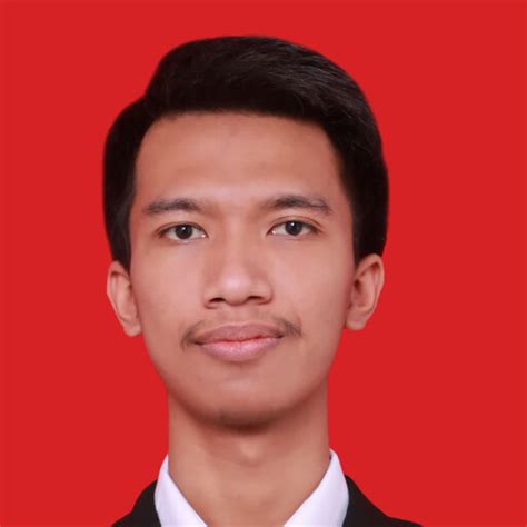 maulana rizal operation perusahaan listrik negara jakarta pln