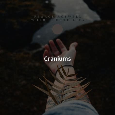 Playlist Battle 3 Bracket Bracketfights