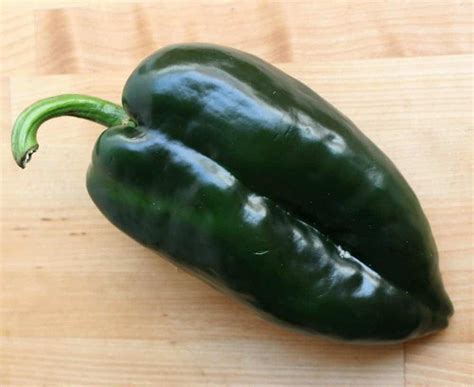 Poblano Pepper Video Mamá Maggies Kitchen