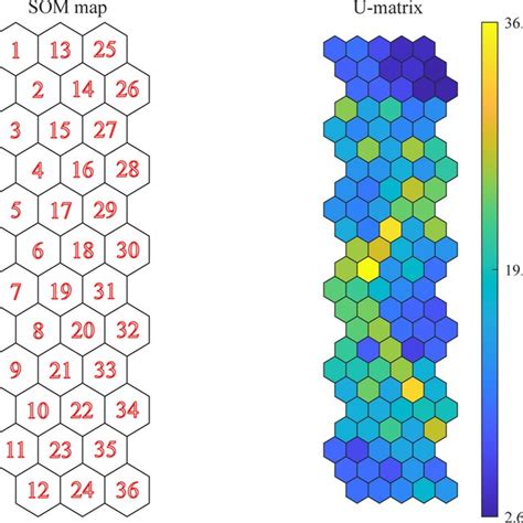 the self organizing map left and the u matrix right download