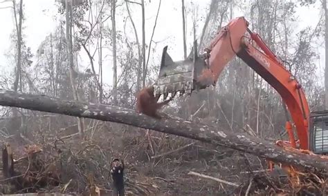 Chats With Gpt On Symbol Grounding And Turing Testing Skywritings