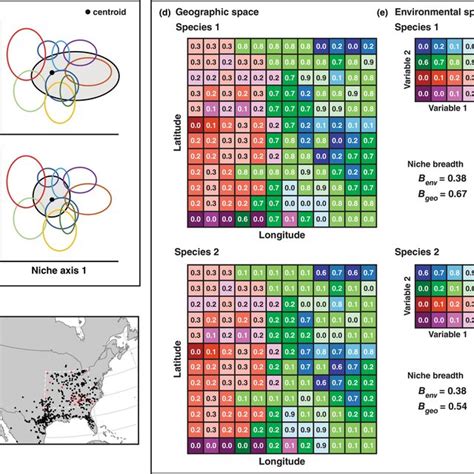 Conceptual Diagrams Upper Left Illustration Showing That One Species Download Scientific