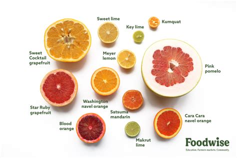 Citrus Identification Guide Printable
