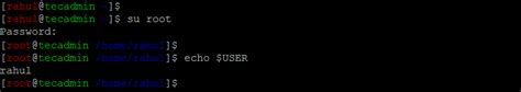 Difference Between `su` And `su ` Commands In Linux
