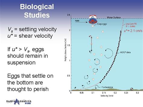 the velocity mapping toolbox vmt updates and applications