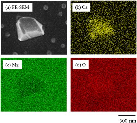 A Fe Sem Image Of A Particle On The Mgo Surface The Corresponding Download Scientific