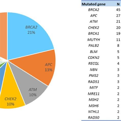 Distribution Of Germline Mutations In A Cohort Of Patients With Download Scientific Diagram