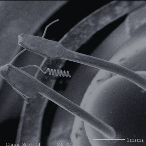 Scanning Electron Microscope Adds To Already Impressive Garage Lab