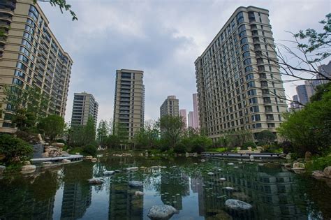 楚天都市 诚园 高端住宅 中大豪盛集团