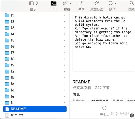 清理gorust编译时产生的缓存 知乎